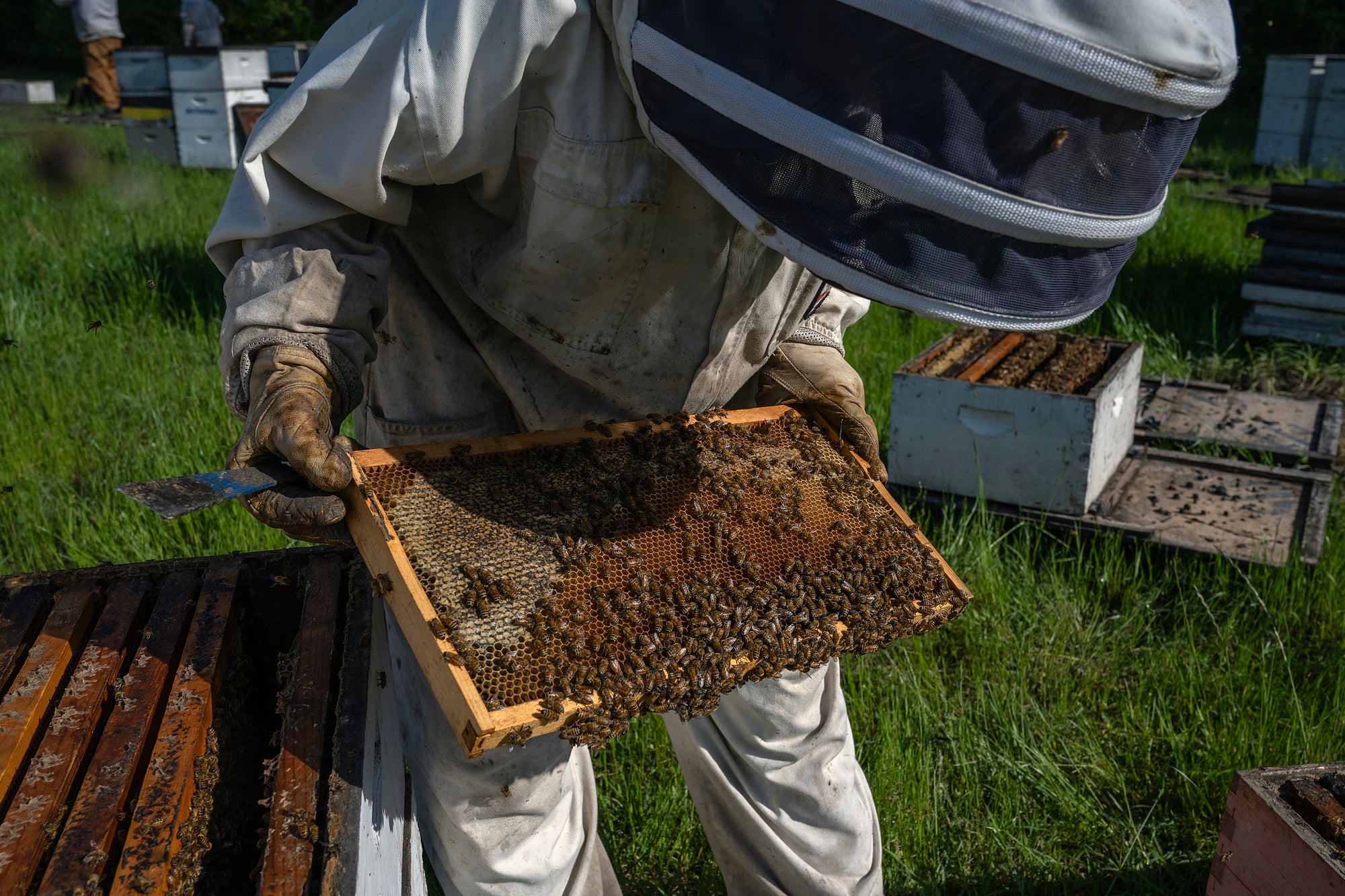 Trinity Valley Beekeepers Association