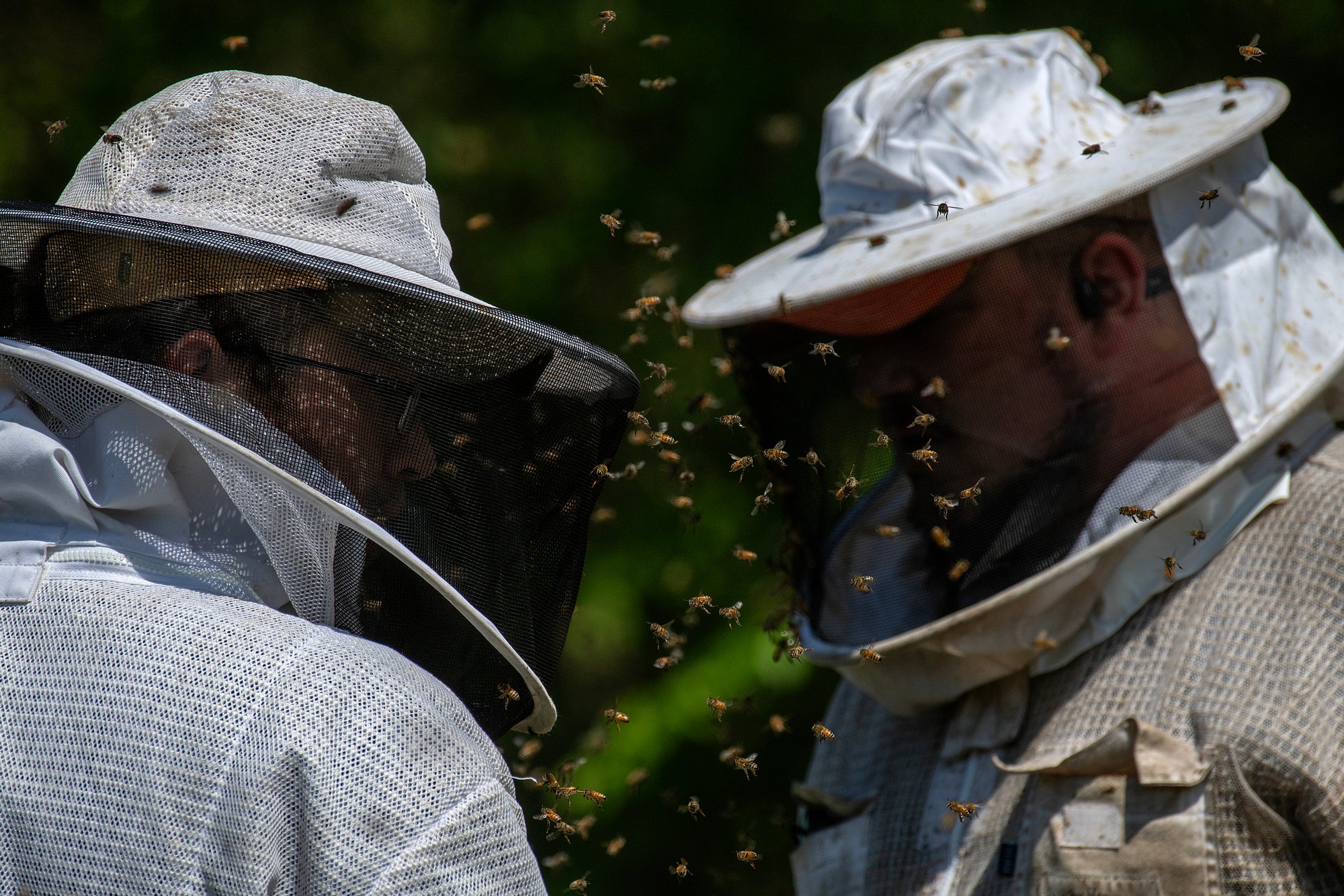 Trinity Valley Beekeepers Association