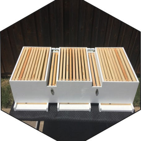 MONTHLY MEETINGS - Trinity Valley Beekeepers Association